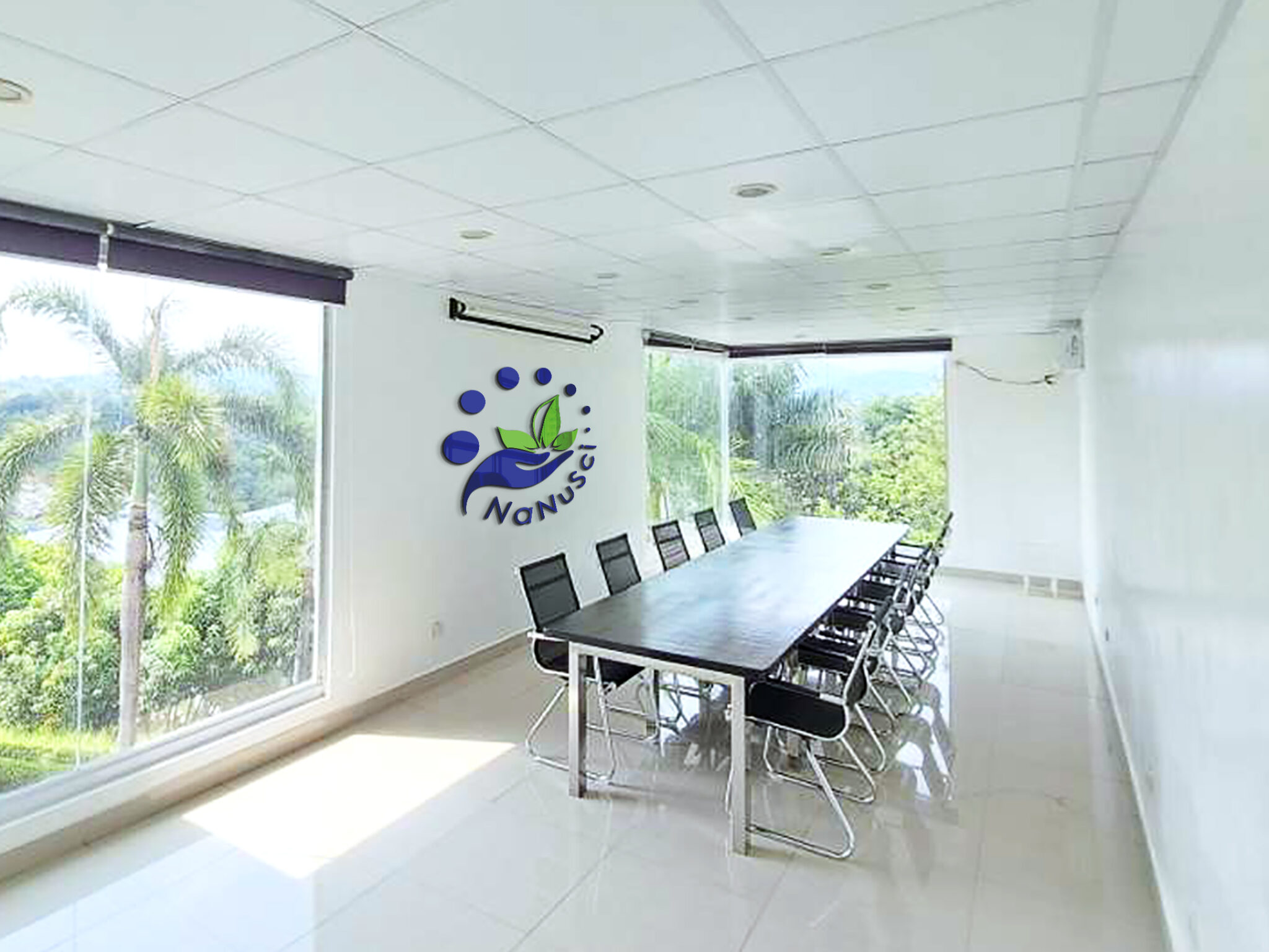 About Us - Nanusci Inc.