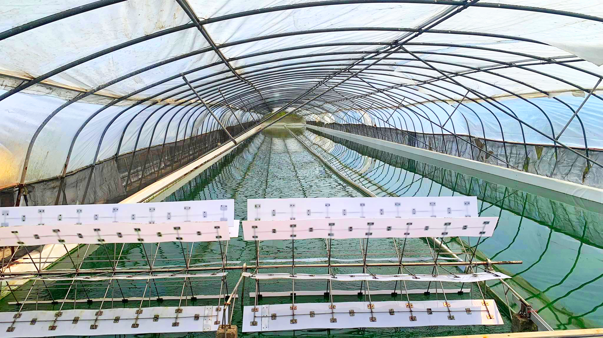 About Us - Nanusci Inc.